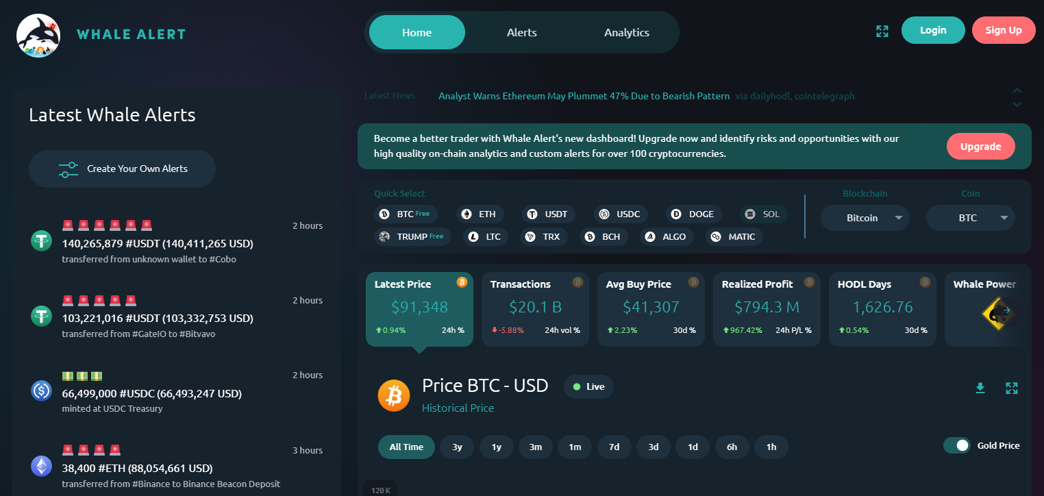 How To Track On-Chain Whale Movements: A Guide