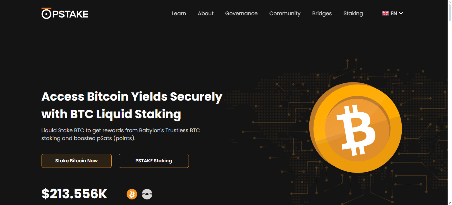 10 Top Staking Providers for Multiple Tokens in 2025